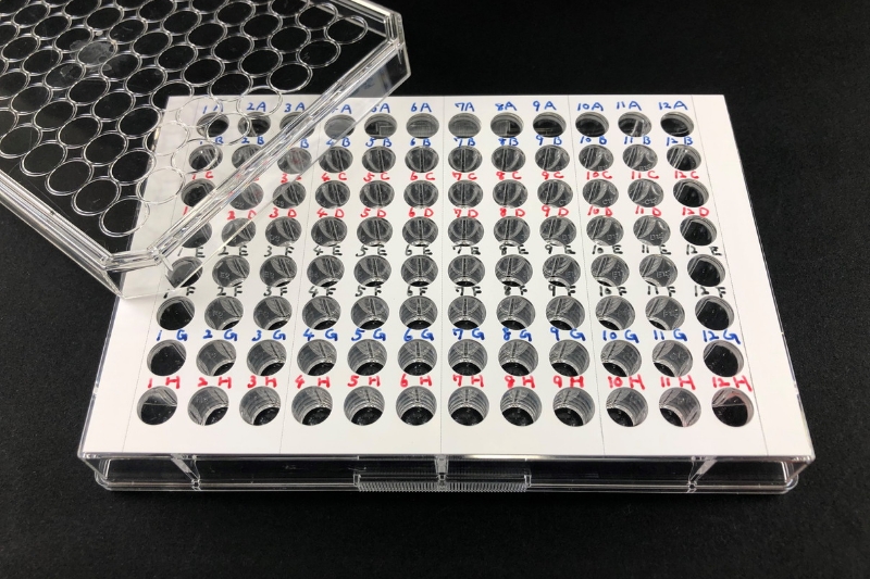Manufacture and sale of cell culture plates and microfluidic chips ...